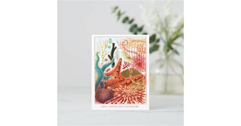 Great Barrier Reef Echinoderms Vintage Postcard Zazzle
