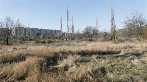 B365 Proprietara Zonei Retrocedate Din Parcul Ior Maria Cocoru A