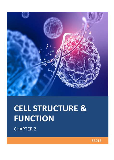 CHAPTER 2 CELL STRUCTURE AND FUNCTION Babe Copy By Dira MR Flipsnack