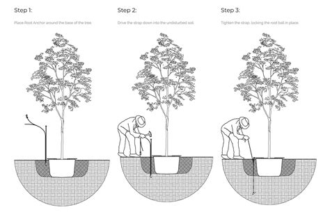 Tree Stake Solutions ROOT ANCHOR Landscape Architect