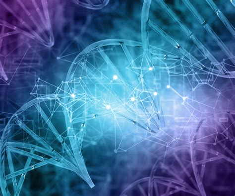 Tobrfv And Breaking Resistance Pepper Capsicum Updated Metagenom