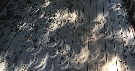 The Eclipse Is Leaving Very Weird Shadows On My Deck Album On Imgur