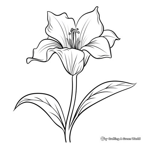 Coloring Easter Lily Pages Cross Spring Lilies Printable Seasons Sheets