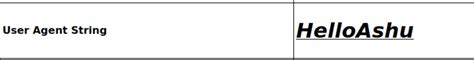 html injection tryhackme and owaspbwa hubpages