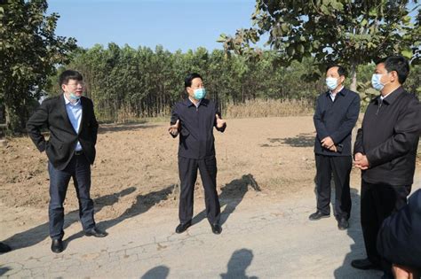 吉建军在督导调研中心城区城建重点工作时强调 以高质量项目建设带动城市高品质更新 中华龙都网 周口报业传媒集团主办 河南省重点新闻网站
