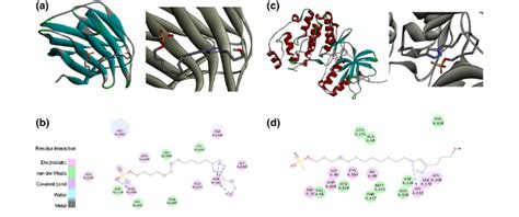 3d And 2d Diagrams Of The Intermolecular Interactions Between 5e And Download Scientific