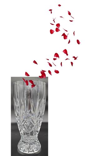 Vase Refill The Dusty Teacup Des