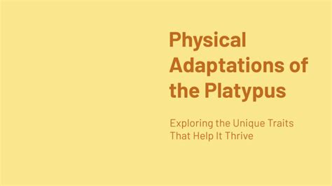Platypus Physical Adaptations By Breeanna Lane On Prezi