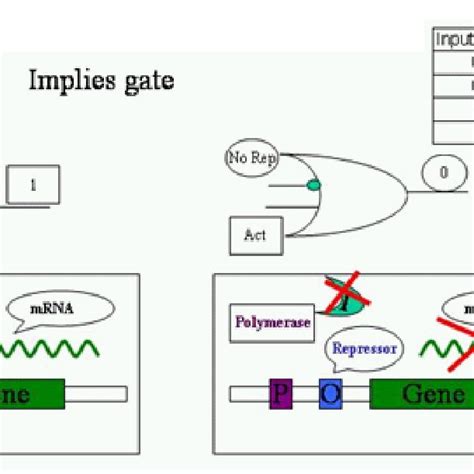 The Truth Table Of Implies Gate Depicts The Possible Input Signal