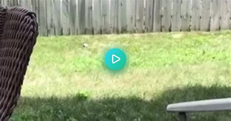 Make Fetch Happen Album On Imgur