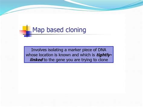 Forward And Reverse Genetics Pptx