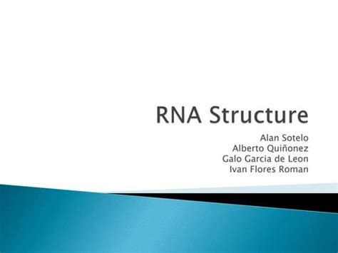 rna class the classification of rna pdf