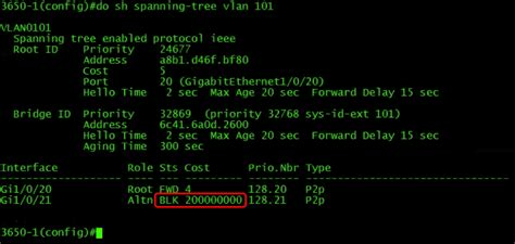 CCIE Enterprise Wireless Training Reliable Lab Practice