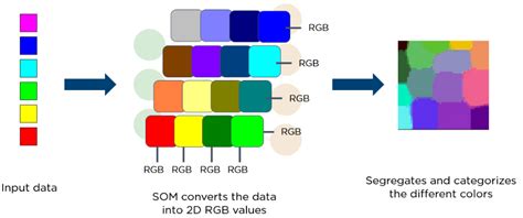 Top 10 Deep Learning Algorithms You Should Know In 2024