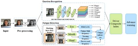 Electronics Free Full Text Driver Emotion And Fatigue State