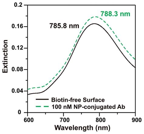 Lspr Biosensor Signal Enhancement Using Nanoparticle Antibody Conjugates Abstract Europe Pmc