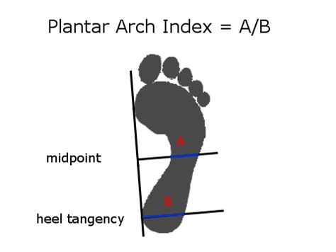Calculation Of The Plantar Arch Index Somastruct