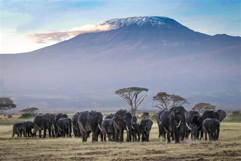 非洲大陆20个最值得探索的地方 知乎