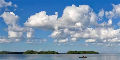 using docker for local development of headless wordpress sites with nextjs dev community