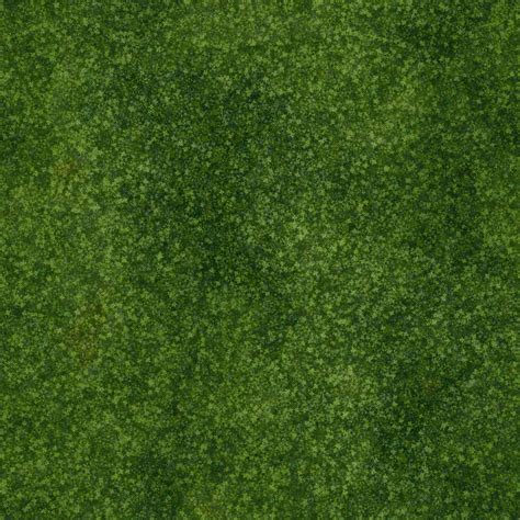 Moss Seamless Texture Patterns 2k 20482048 By Model789