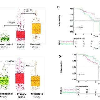 Transcriptomic Profiling Of The Candidate Gene Expressions And Melanoma Download Scientific