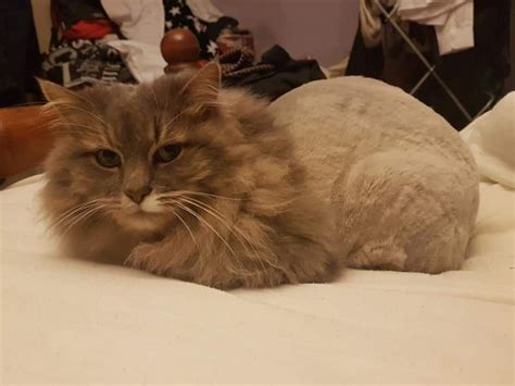 u cheesy wotsit ・ popular pics ・ viewer for reddit