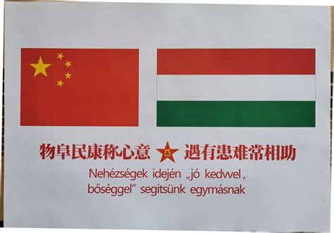 中国人民解放军向6国军队提供防疫物资援助 每经网