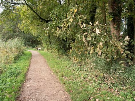 Foothpath Images Free Download On Freepik