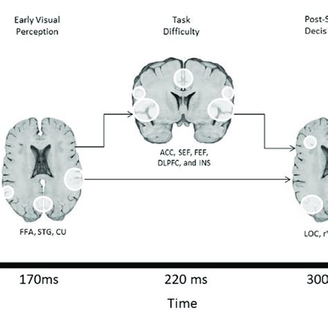 A Schematic Spatio Temporal Diagram Of The Three Networks Involved In Download Scientific