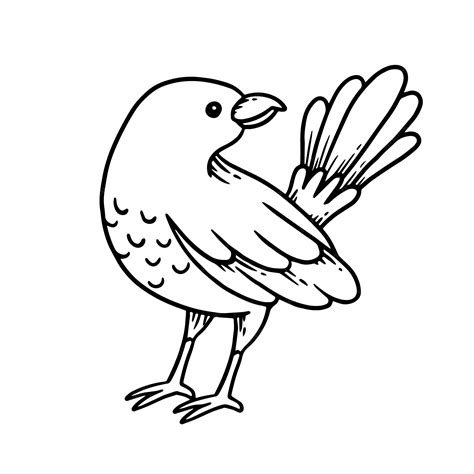 Bird Template