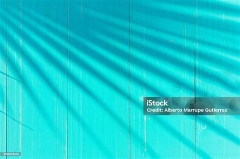 복사 공간을 위한 야자수 그림자가 있는 나무 보드에 청록색 표면 여름방학 컨셉 그림자에 대한 스톡 사진 및 기타 이미지 그림자 해변 0명 Istock