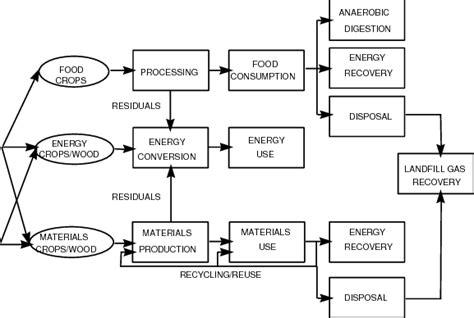 Biomass Model Structure Download Scientific Diagram