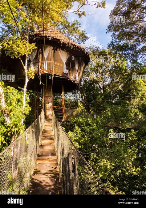 Glamping Accommodation In The Amazon Rainforest Wooden Treehouse Amazon Rainforest Amazonia