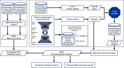 Overall Workflow The Flowchart Depicts The Autoencoder Ae