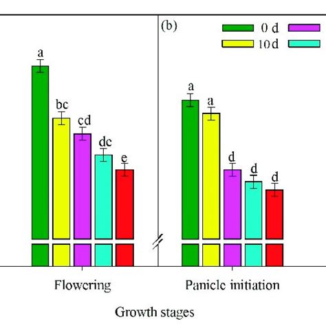 Effect Of Drought Stress On A Grain Yield Ha −1 And B Straw Yield