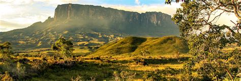 Activities Guided Tours And Day Trips In Roraima