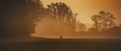 每日文章精选 2022 10 10 Linux 支持 Wayland