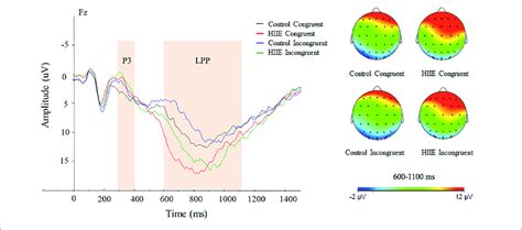 Grand Mean Stimulus Locked Erp Waveforms For Each Session And Task