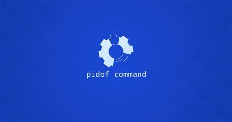 pidof command in linux linuxize