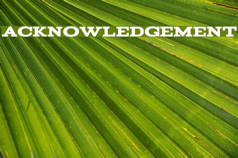 Acknowledgement Font