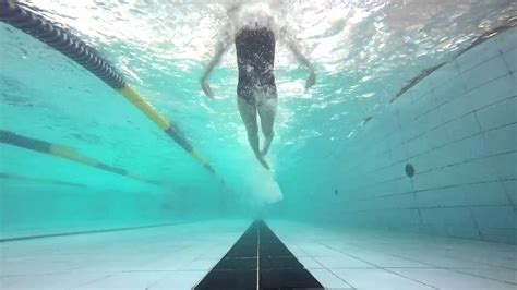 수영과사람들 3월정모 여자수중영상 접영 Youtube