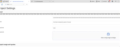 Frontendproject Settings Long Title Breaks Ui · Issue 6498