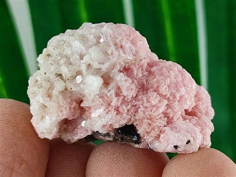 Rare Rhodochrosite With Stilbite From Davidkovo Ore Filedbulgariapink