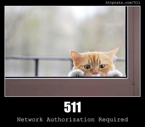 511 network authentication required status code and cats