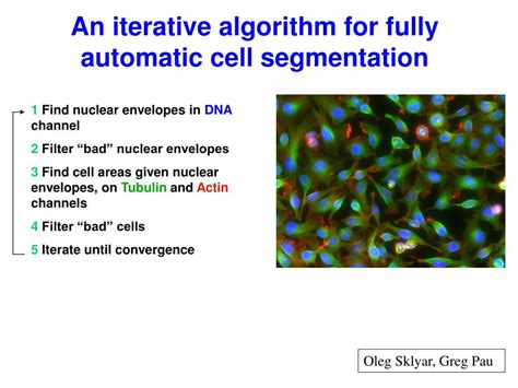 Ppt High Throughput Cell Based Assays Powerpoint Presentation Free