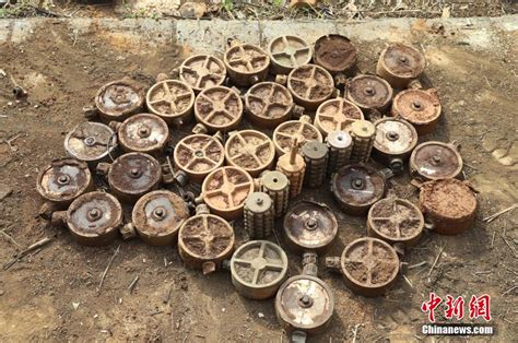 中越边境扫雷部队：年底前完成雷区深排 搜狐大视野 搜狐新闻