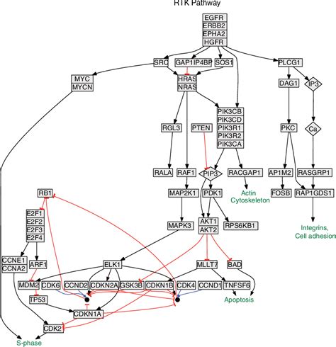 figure 1 from pathway recognition and augmentation by computational analysis of microarray
