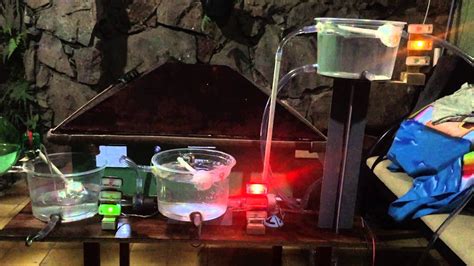 Casa Automatizada Com Arduíno Unb Engenharia Eletrônica Youtube