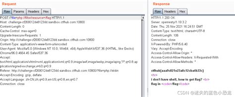 Ctf之旅（ctfhub技能树详细write Up持续更新ing（rce）ctfhub Writeup 管理后台 Csdn博客