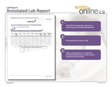 Write Online Lab Report Writing Guide Parts Of A Lab Report